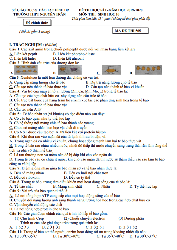Đề thi HK1 Sinh học 10 - THI247.com