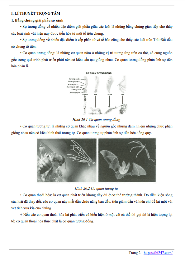 Lý thuyết và bài tập trắc nghiệm học thuyết tiến hóa tổng hợp hiện đại ...