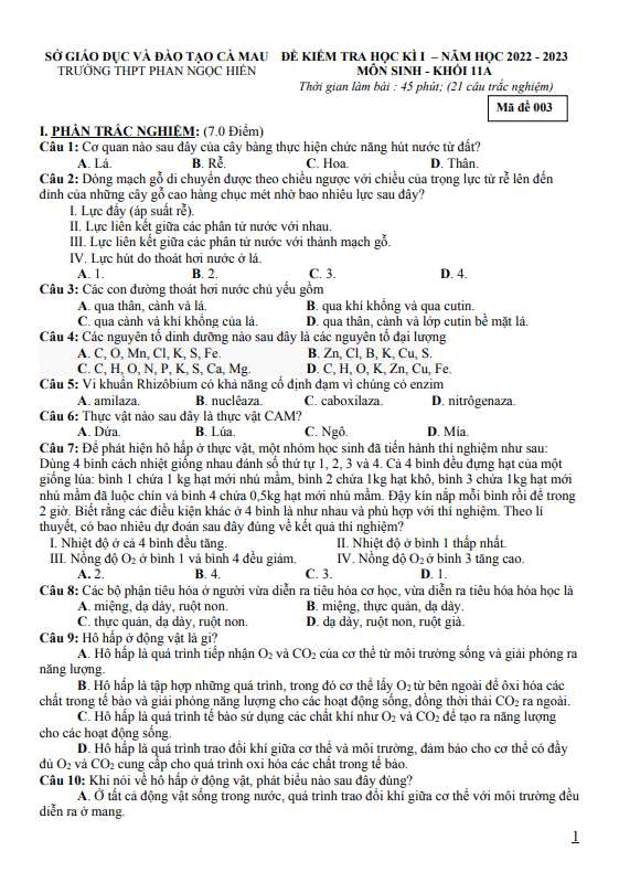 Đề thi HK1 Sinh học 11 năm 2022 - 2023 trường THPT Phan Ngọc Hiển - Cà Mau - THI247.com
